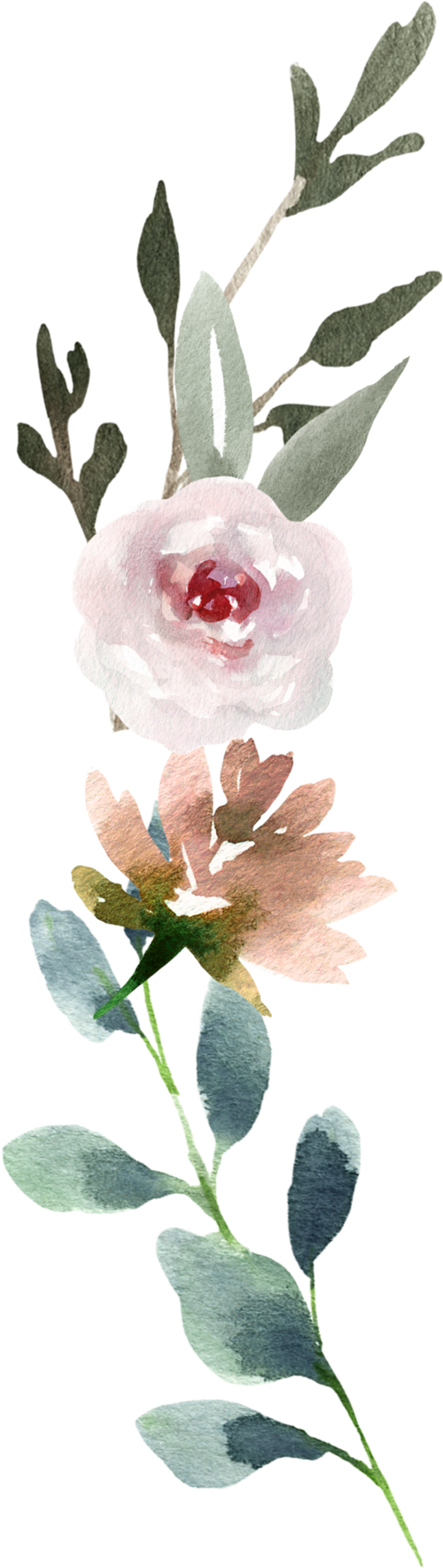 Amanda Hollett and John Deluca's Wedding Website