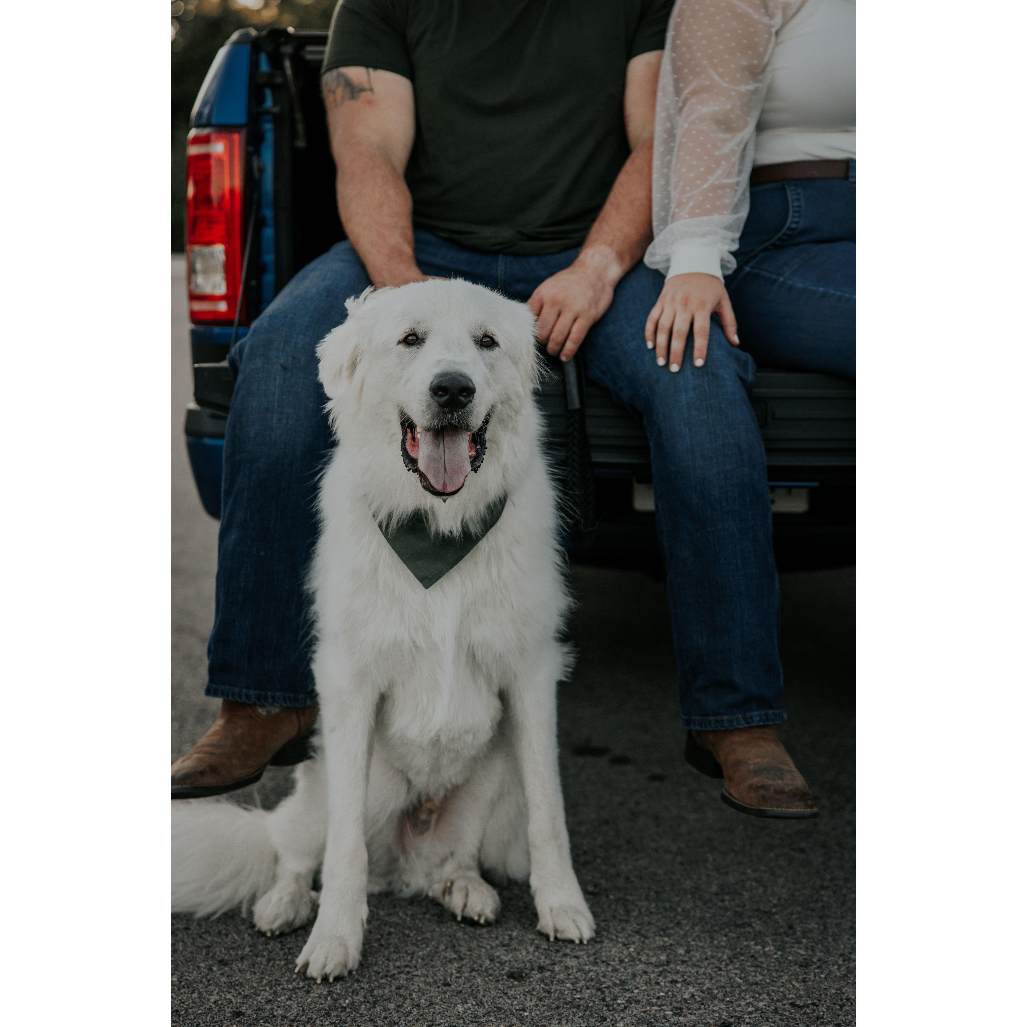 Xena Nelms and Tyler Bennett's Wedding Website