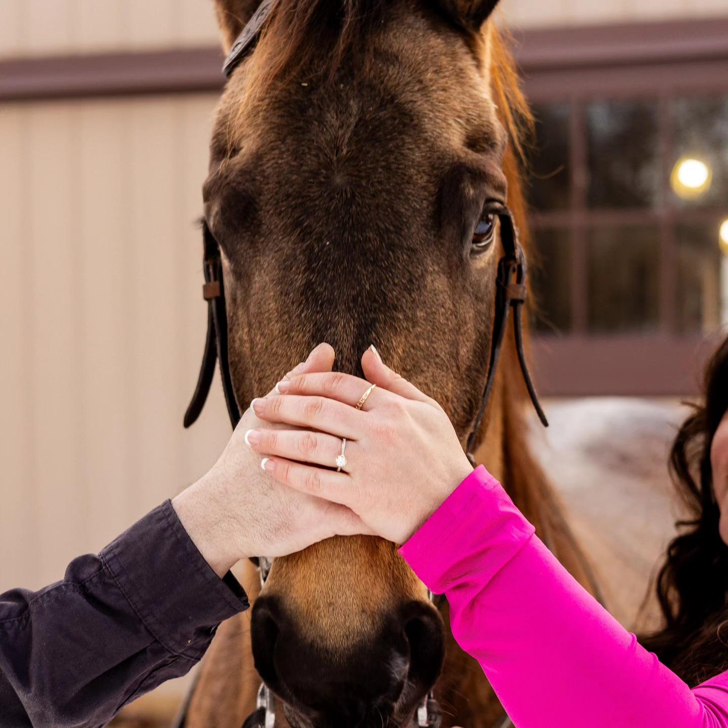 Breann Lewis and Aaron Ripley's Wedding Website