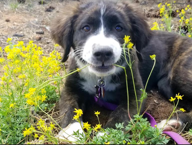 Logan Burke and Alex Hartz's Wedding Website