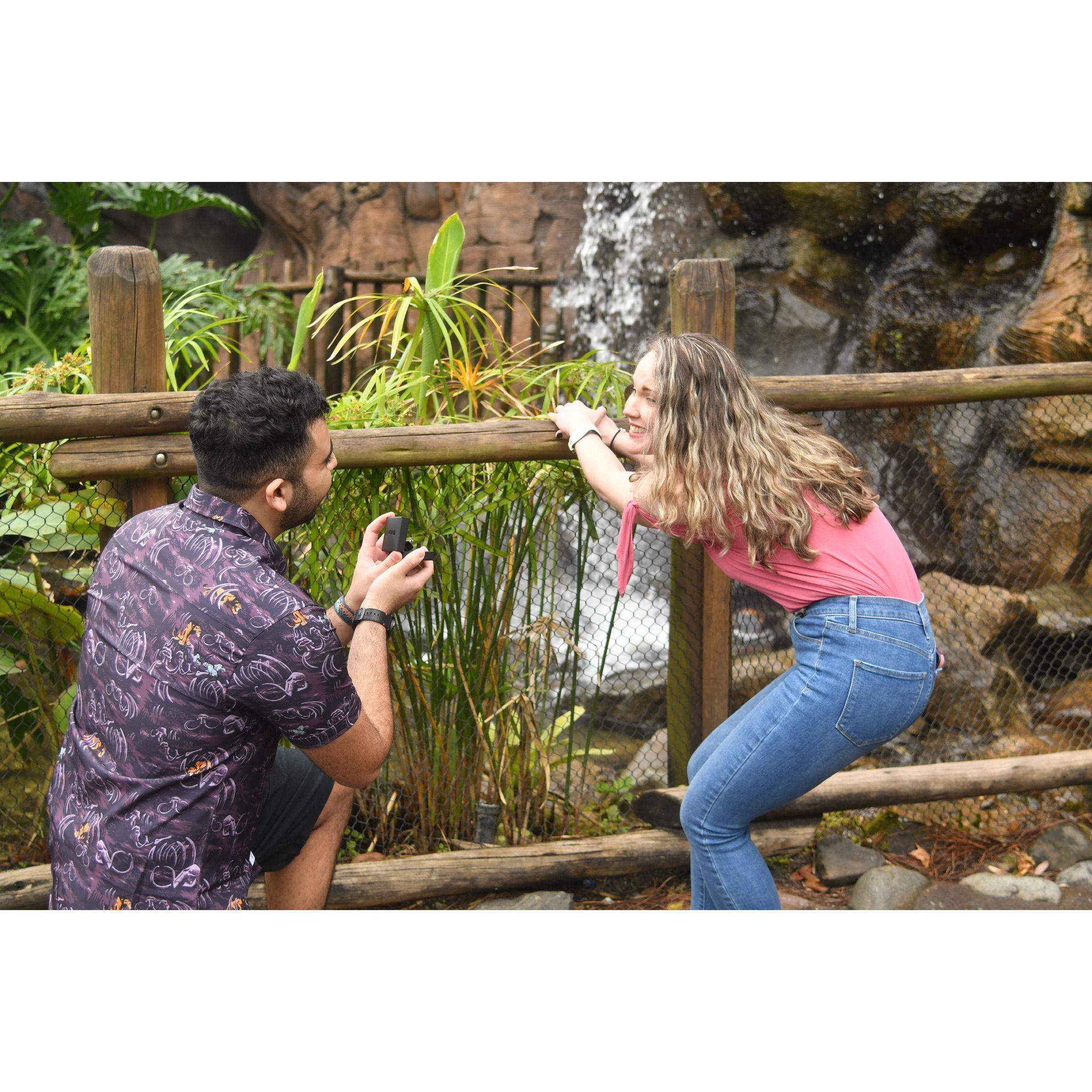 Edwin Rosa and Tiffany Malcolm's Wedding Website