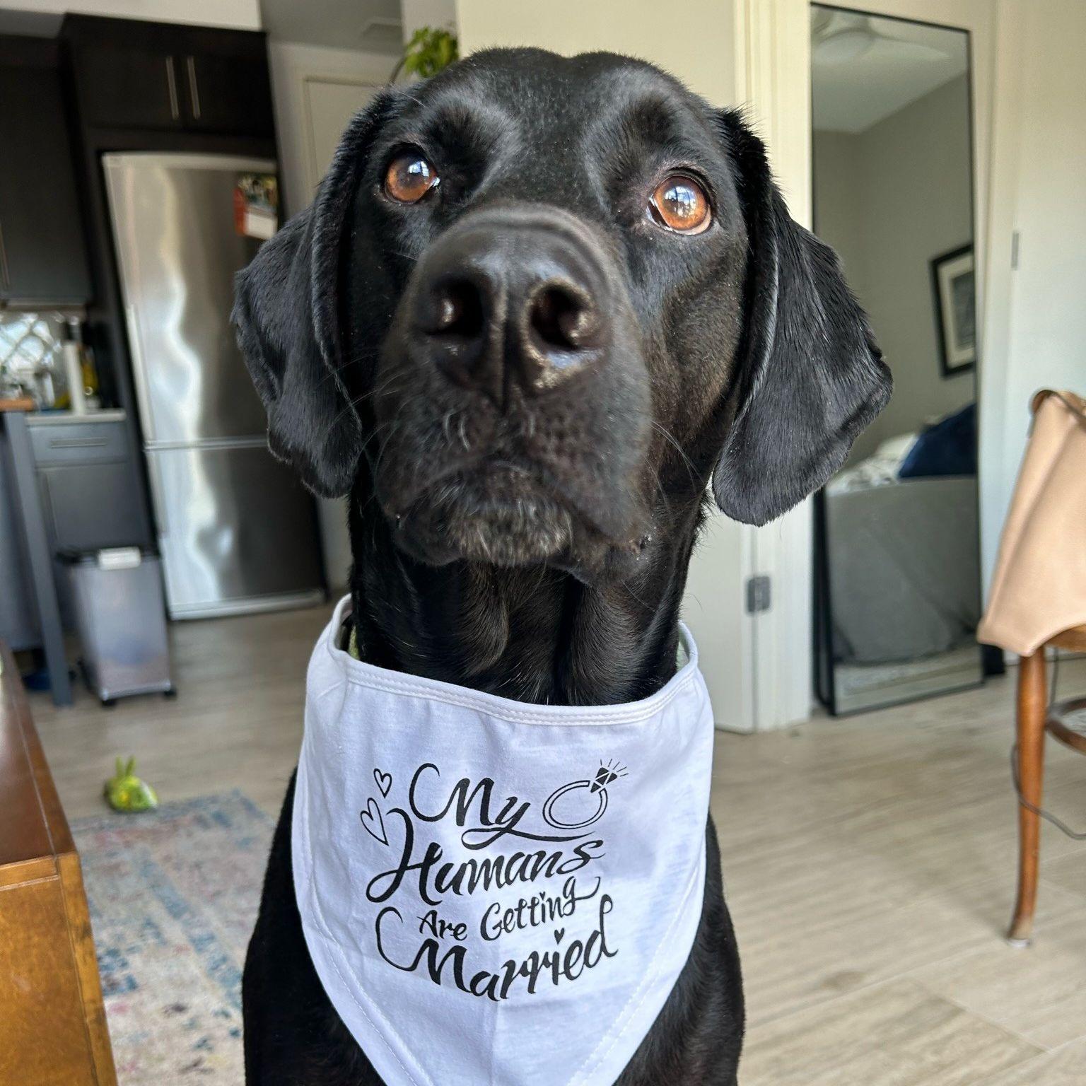 Sonya Soloway and Adam Schilpp's Wedding Website