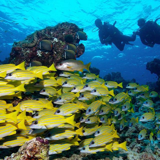 Greg Walder and Lauren Jamiolkowski's Wedding Registry on Zola