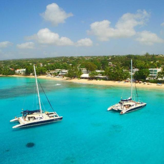 Alexis White and Trace Flake's Wedding Registry on Zola