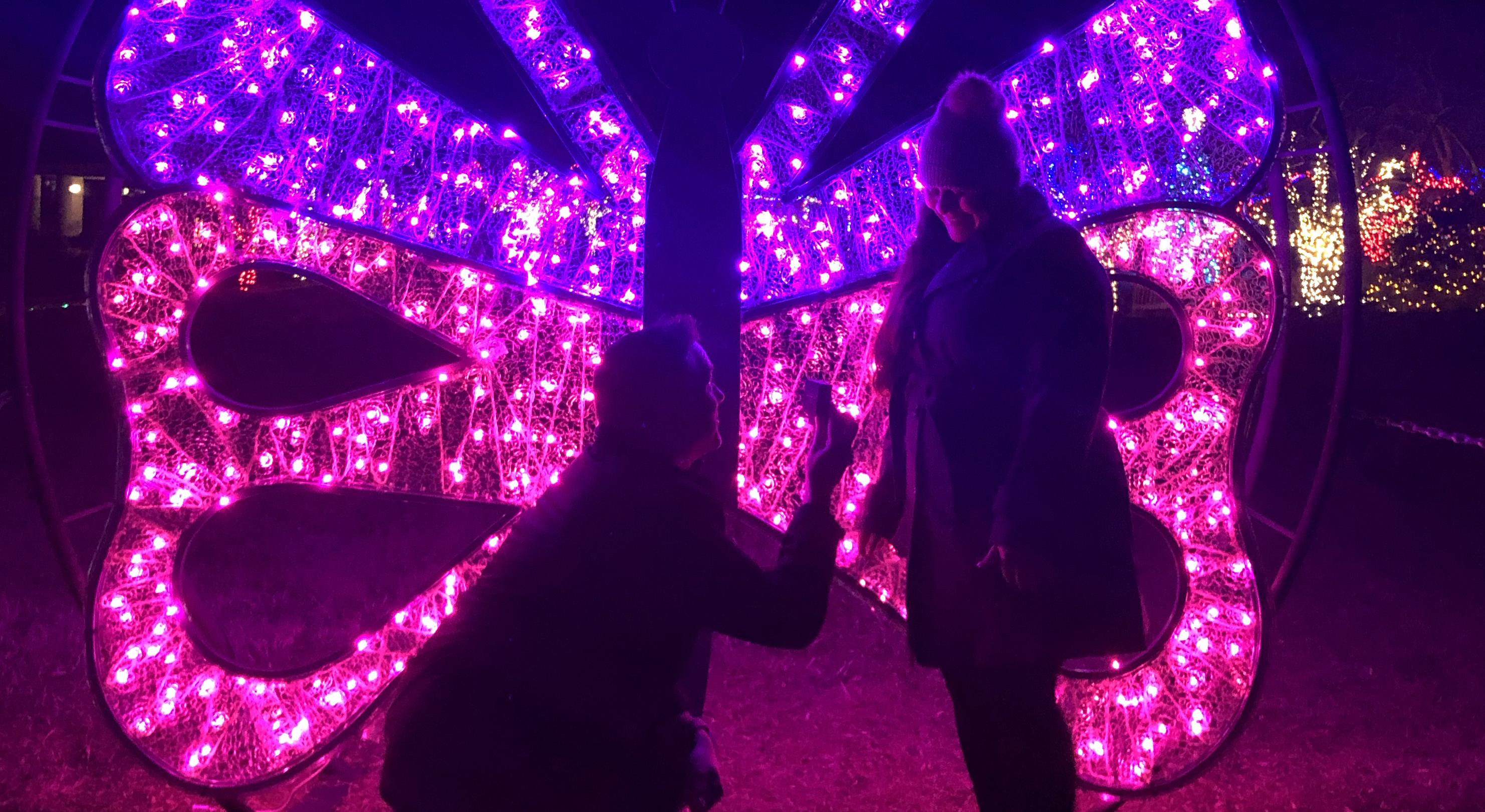 Evan Zilliox and Daisy Cisneros' Wedding Website