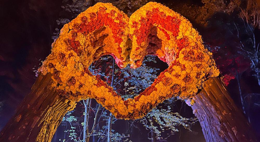 Becca Hunter and Nick Caputo's Wedding Website