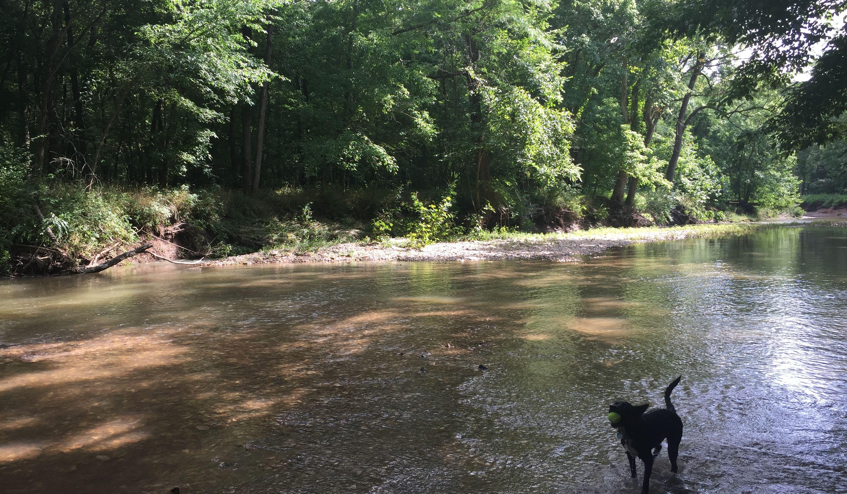 Megan Miller and Hadden Allison's Wedding Website