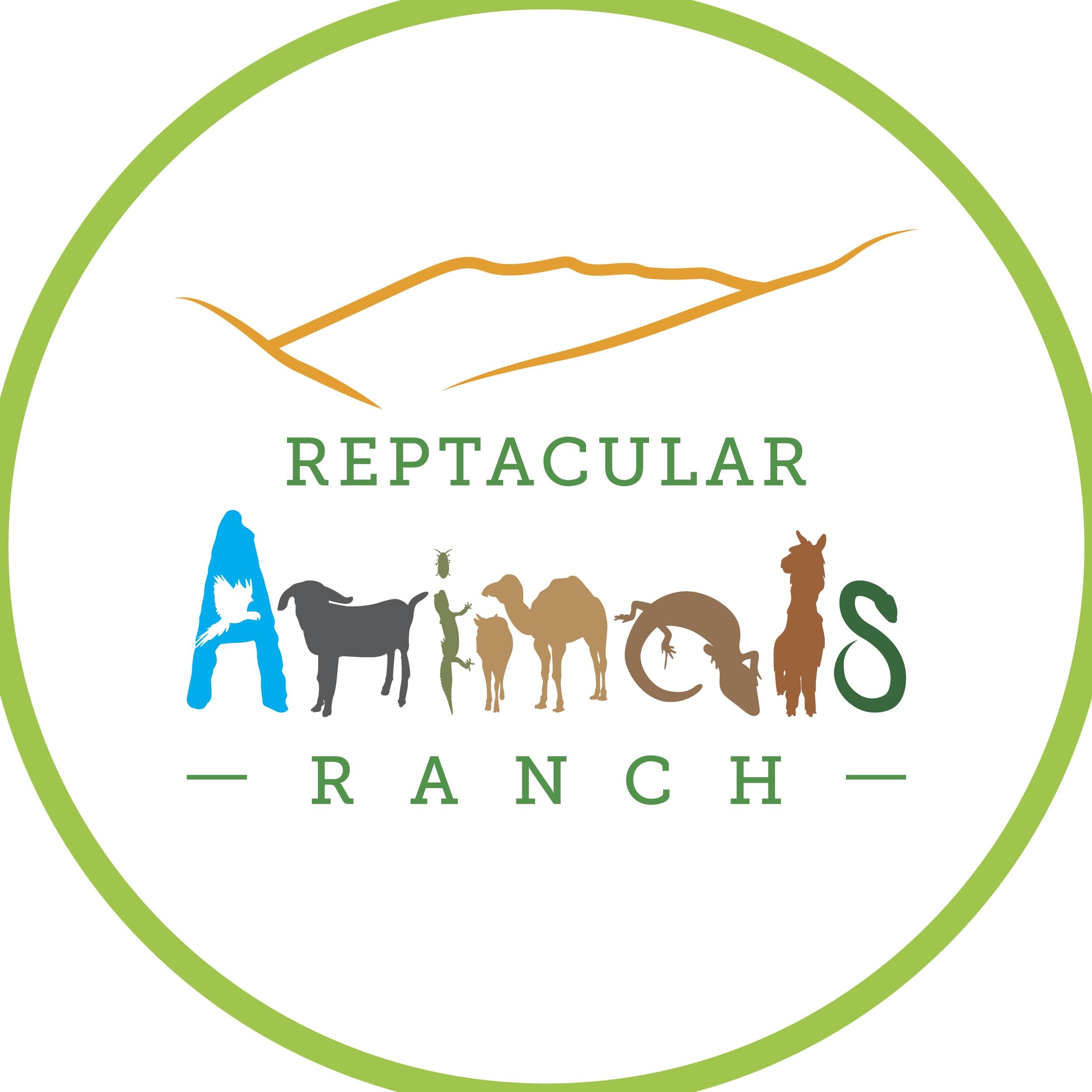 Alariza Nevárez And Clay Newmans Wedding Registry On Zola