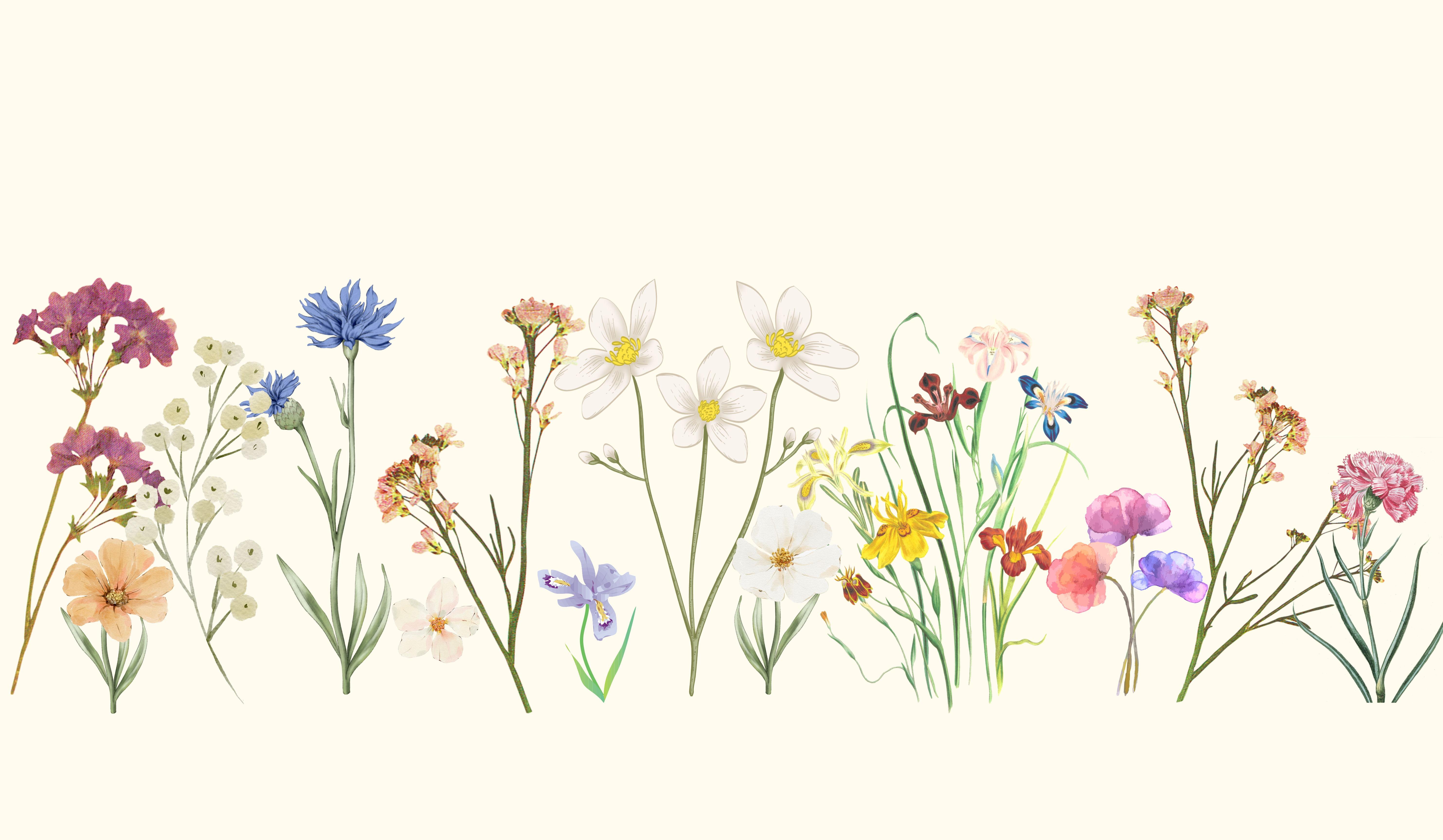 Franca Dobbin and Patrick Schurmann's Wedding Website