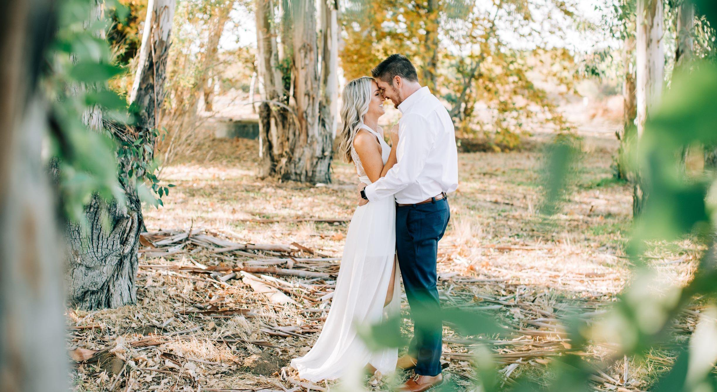 Lacey Tyhurst and Travis Halstead's Wedding Website