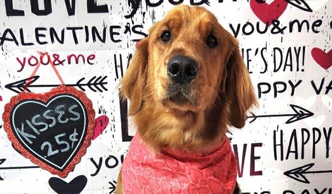 Matthew Fletcher and Mia Crain's Wedding Website