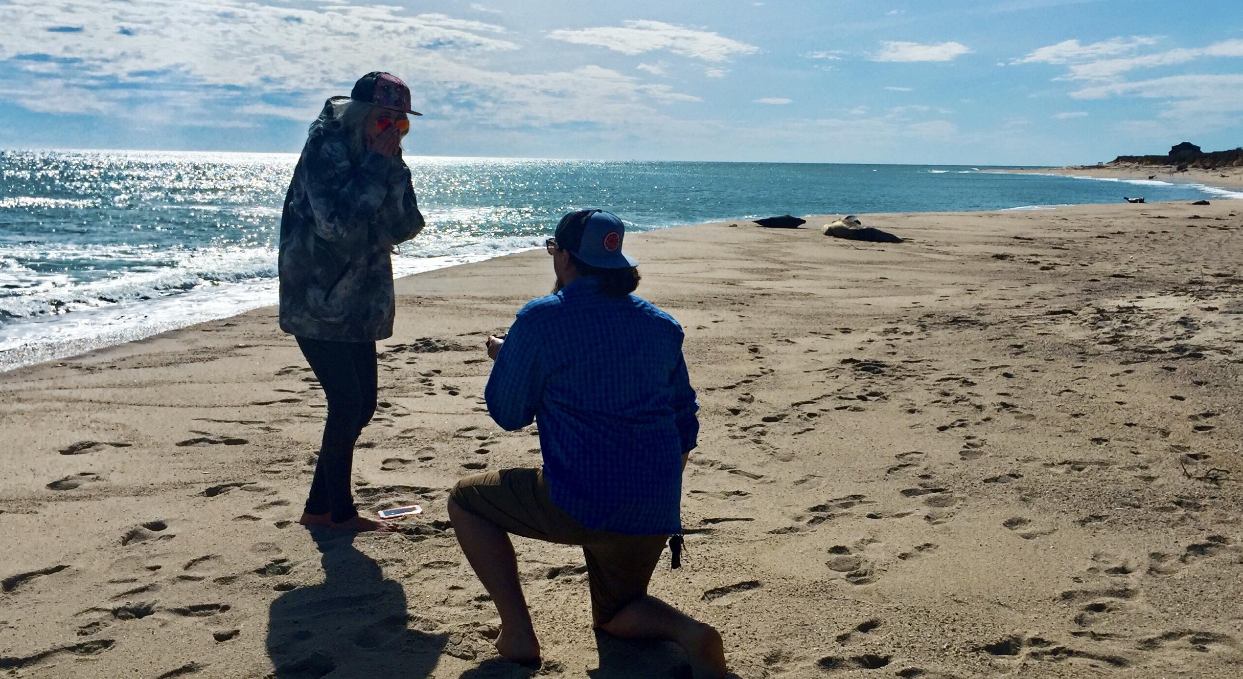 Natasha Foley and Adam DelRosso's Wedding Website