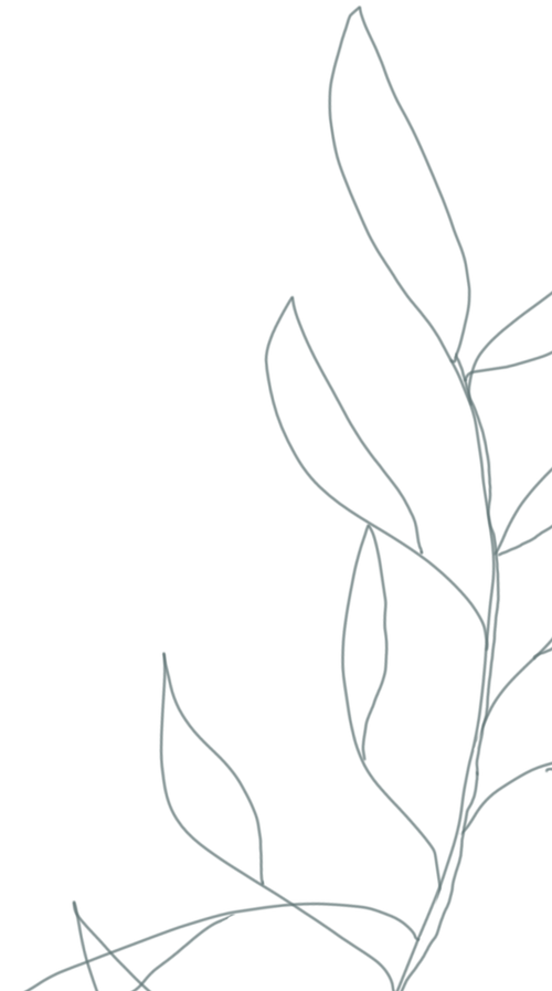 Taylor Martel and Andrew Swedenborg's Wedding Website