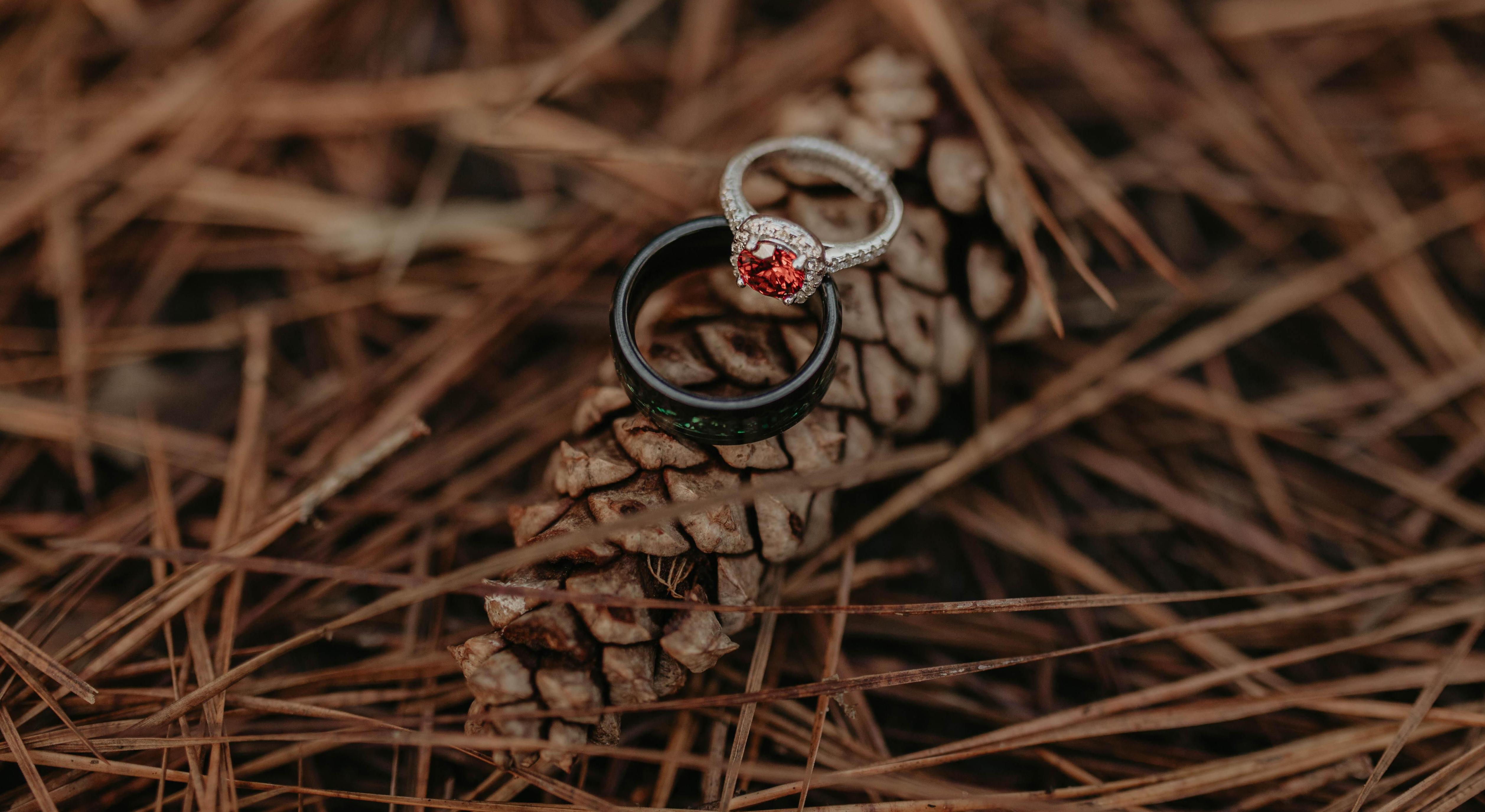 Bethany Eckert and Mathew Enokson's Wedding Website