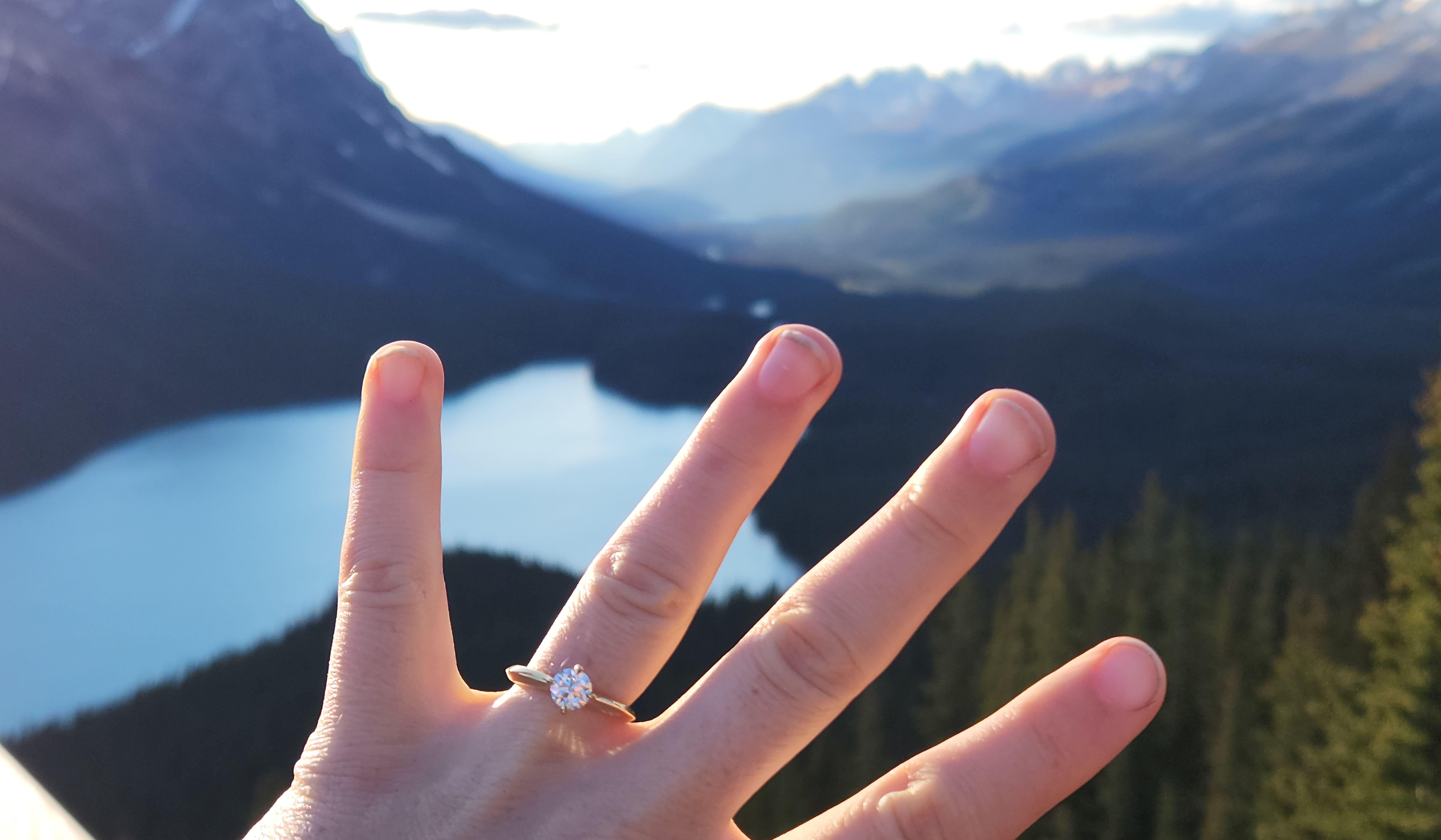 Sara Weeks and Brandon Arnold's Wedding Website