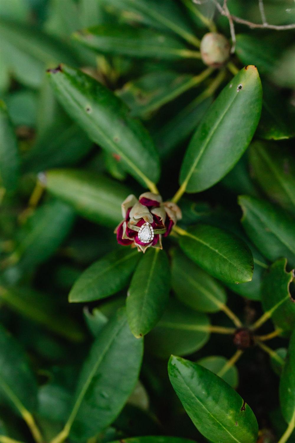 Julia Corinne Townley and Liam Michael Nield's Wedding Website