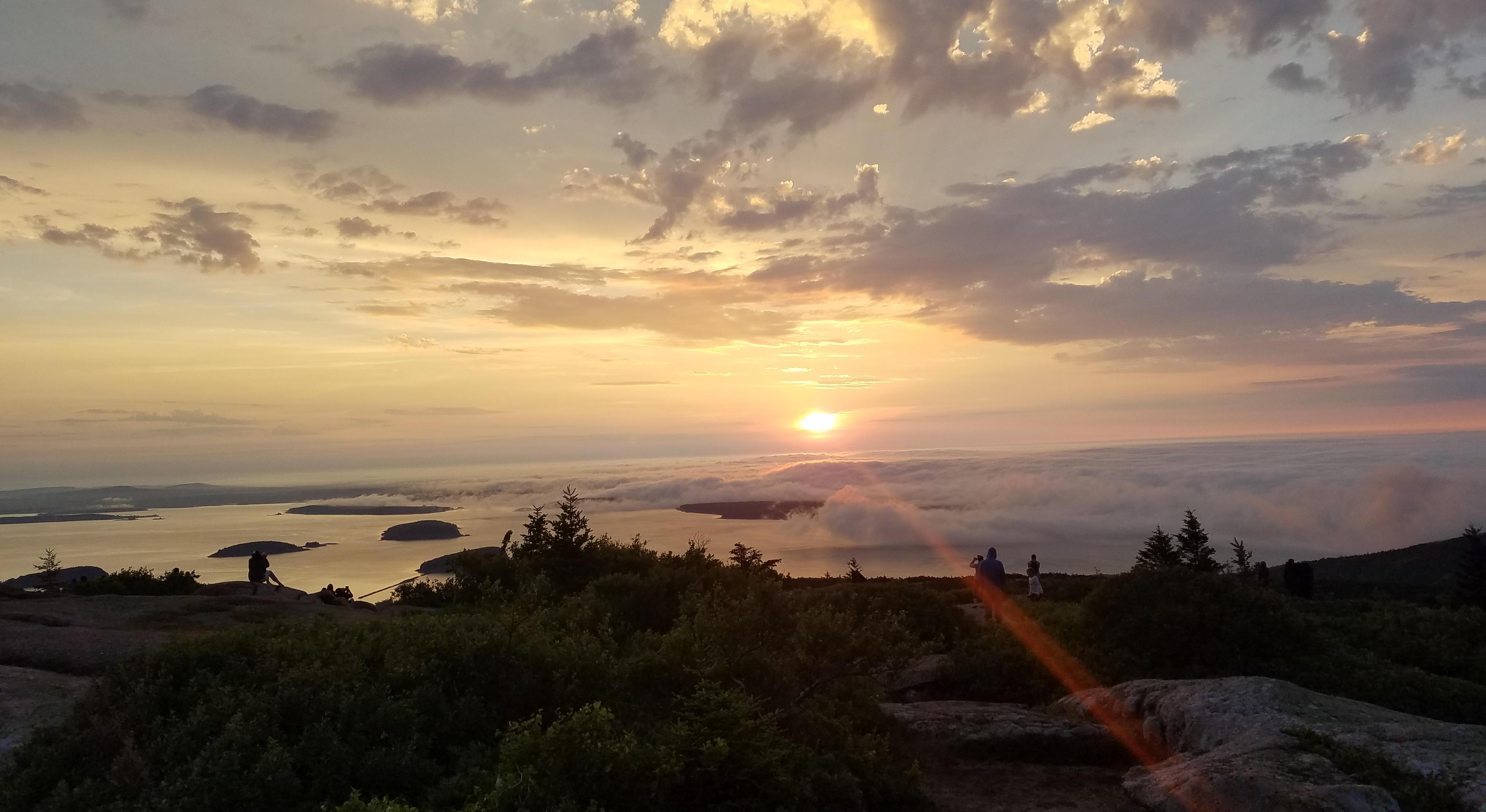 Taylor Burden and Rusty Hammer's Wedding Website