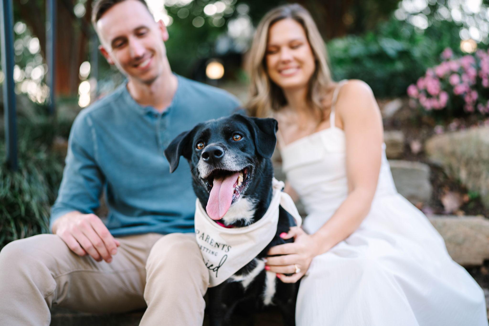 Alex Corn and Zach Johnson's Wedding Website
