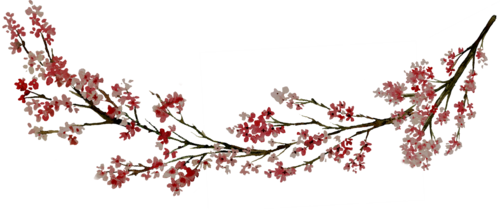 Cynthia Tarter and Christopher Spencer's Wedding Website