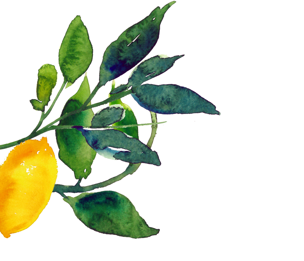 Alexia Hynes and Michael Colacci's Wedding Website