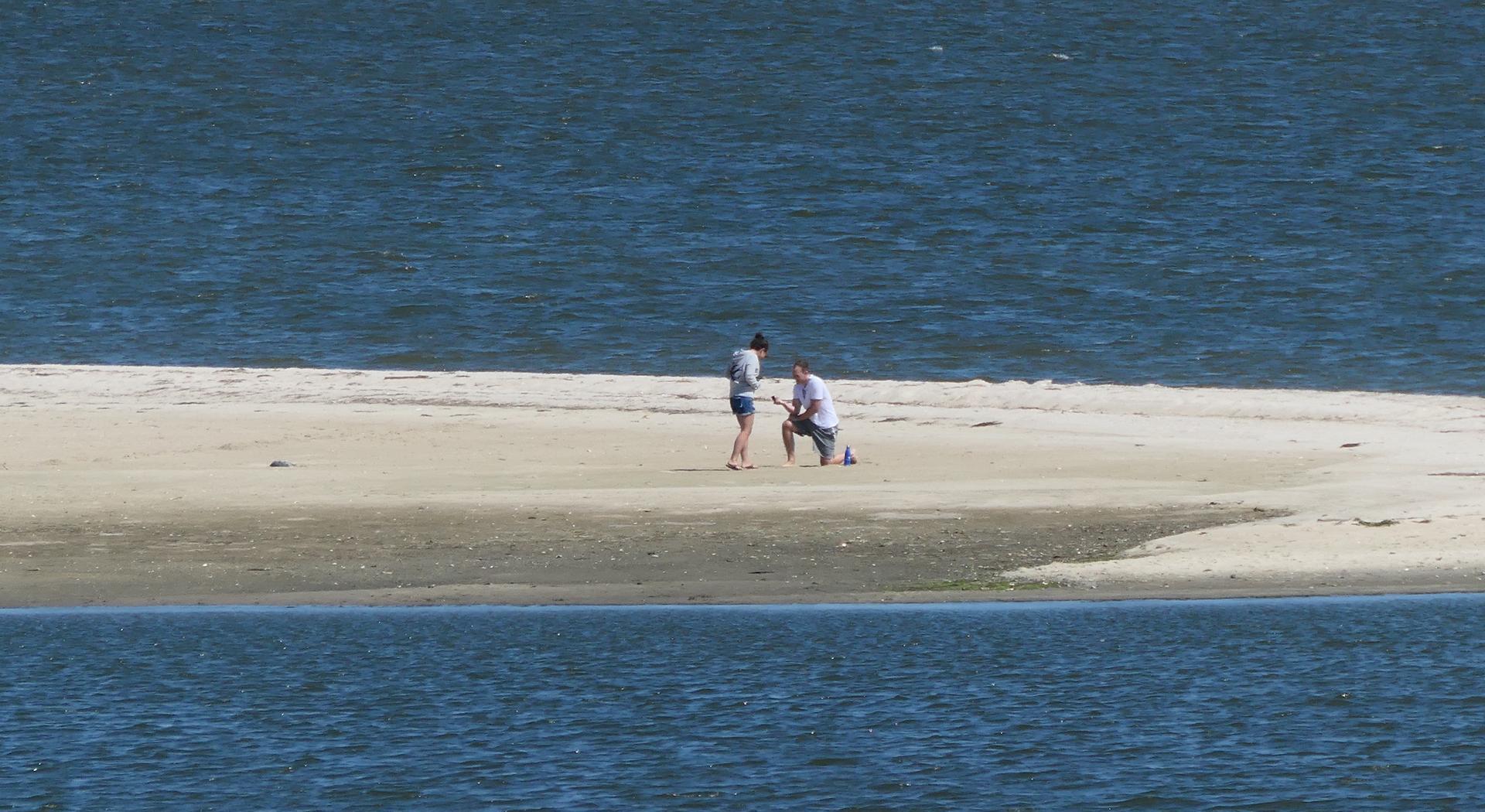 Andrea Rottman and Brett Jureller's Wedding Website