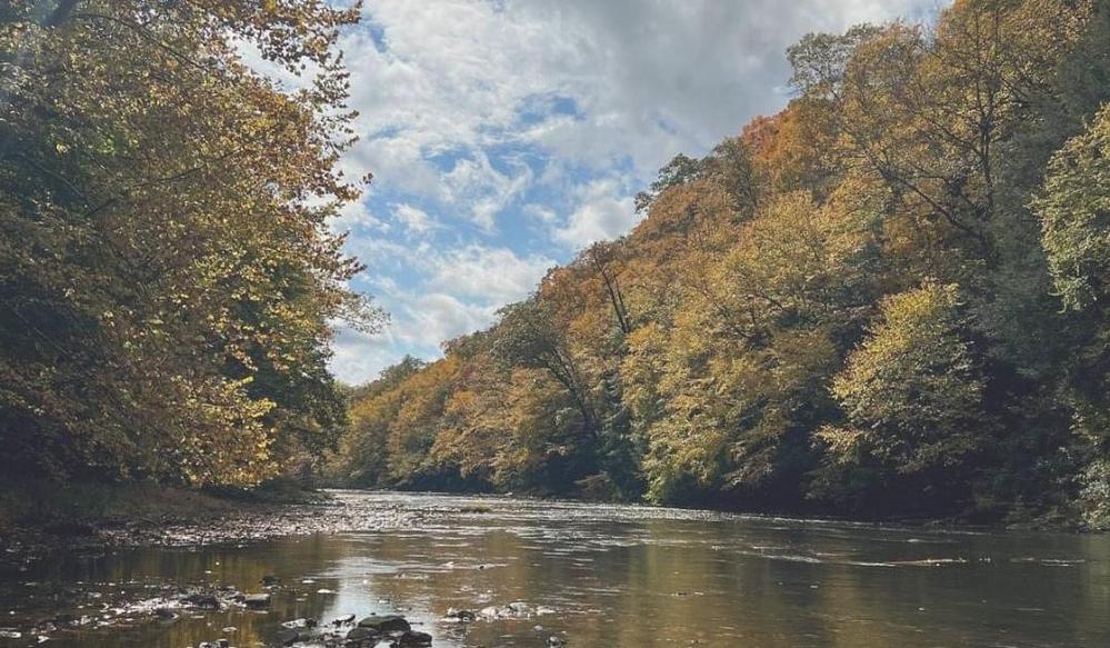 Callie Steele and Benjamin Cormier's Wedding Website