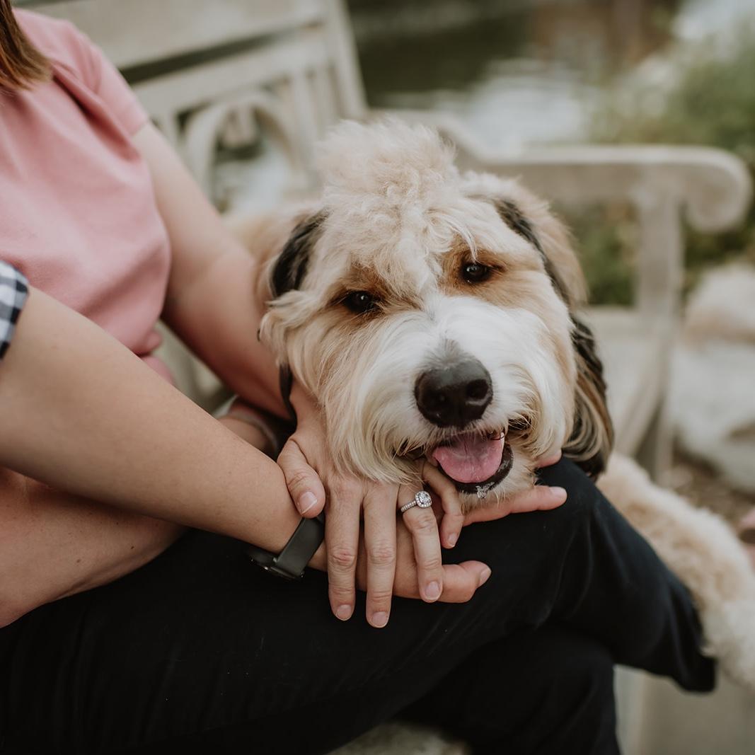 Stacy Wolf and Amber Frantz's Wedding Website