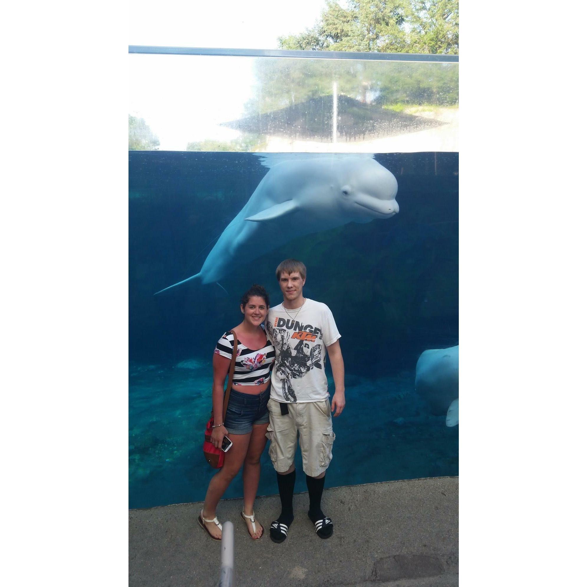 Megan Collette and Dylan Tuttle's Wedding Website