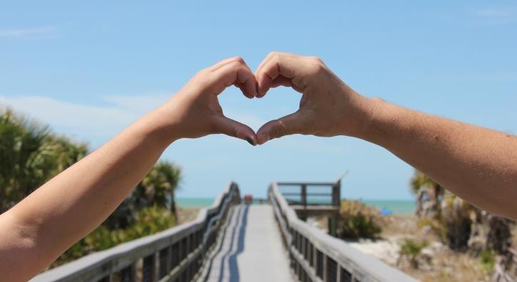 Nellie Swallow and David Shingleton's Wedding Website