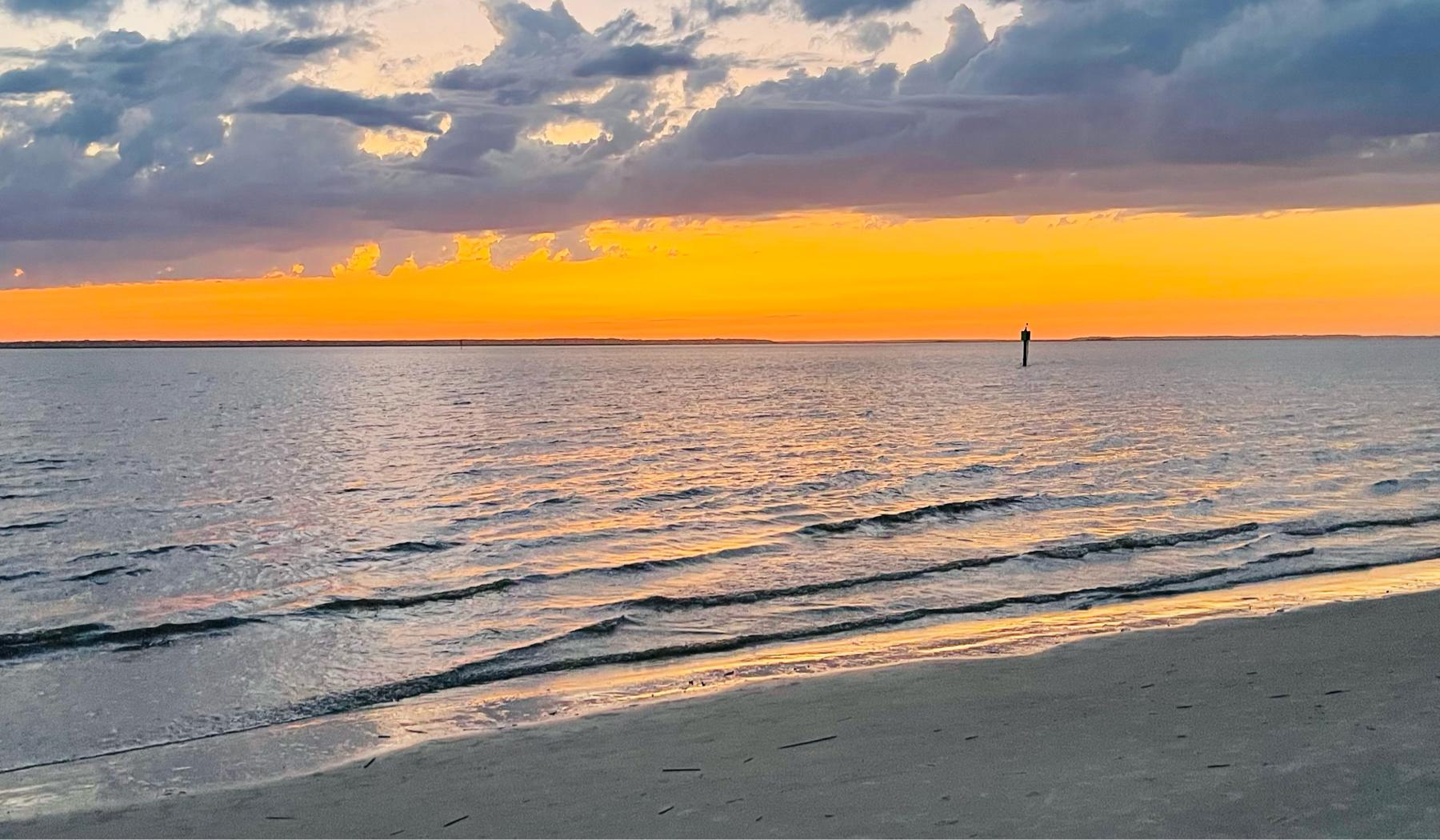 Sandy Kelly and Sharon Haun's Wedding Website