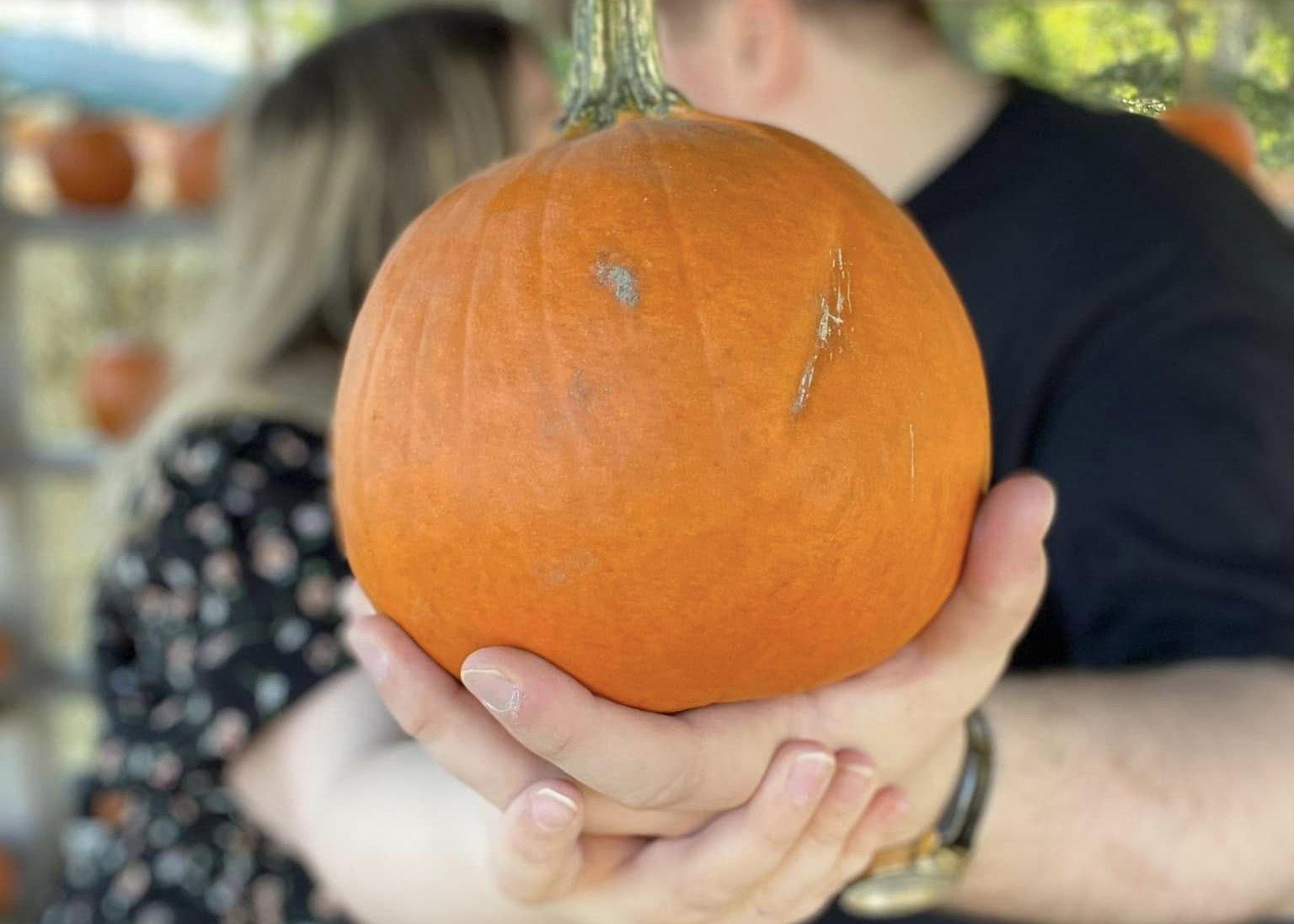 Kate Legault and Patrick Nurse's Wedding Website