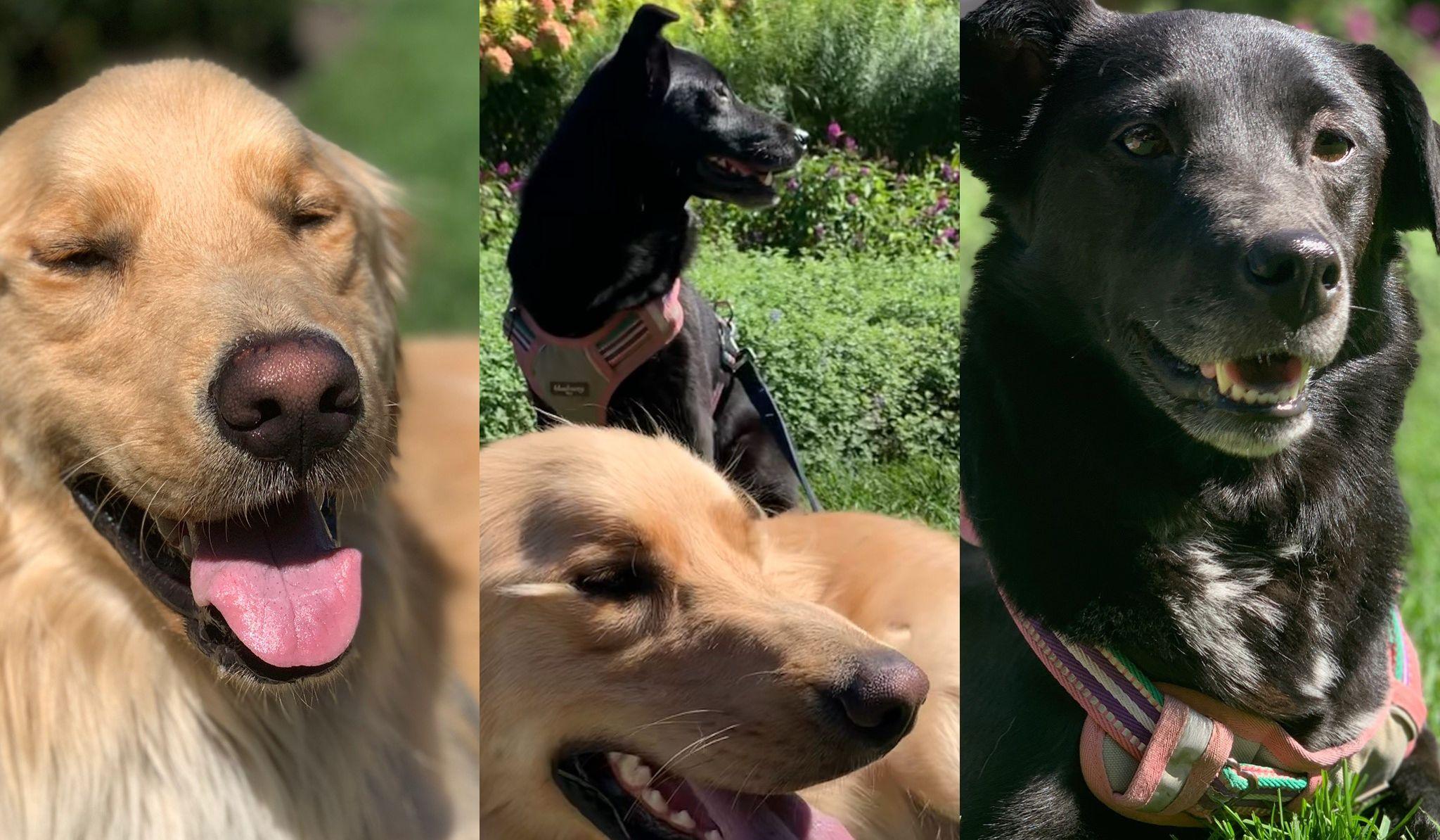 Victoria Haro and Juliusz Choinski's Wedding Website