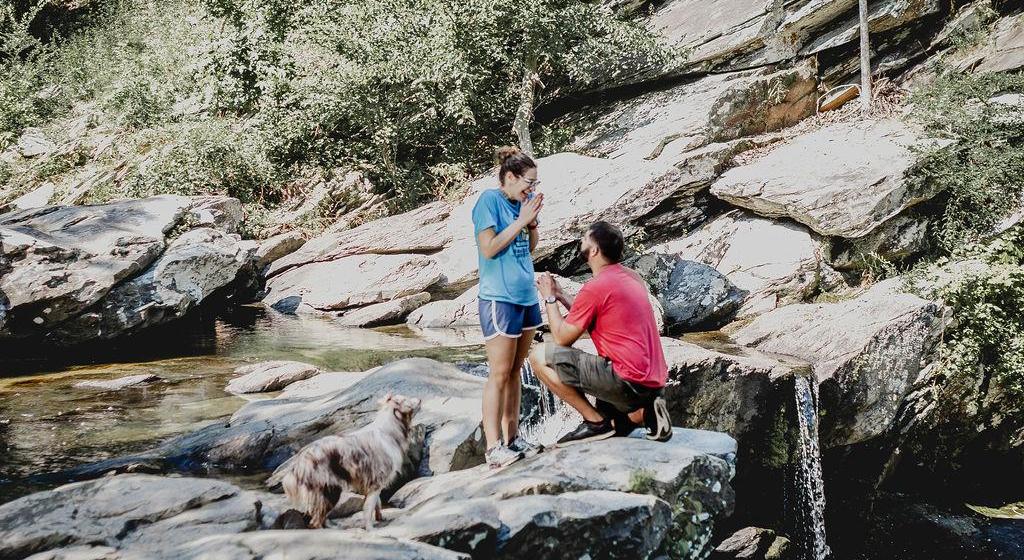 Deborah Strausbaugh and Timothy McClure's Wedding Website