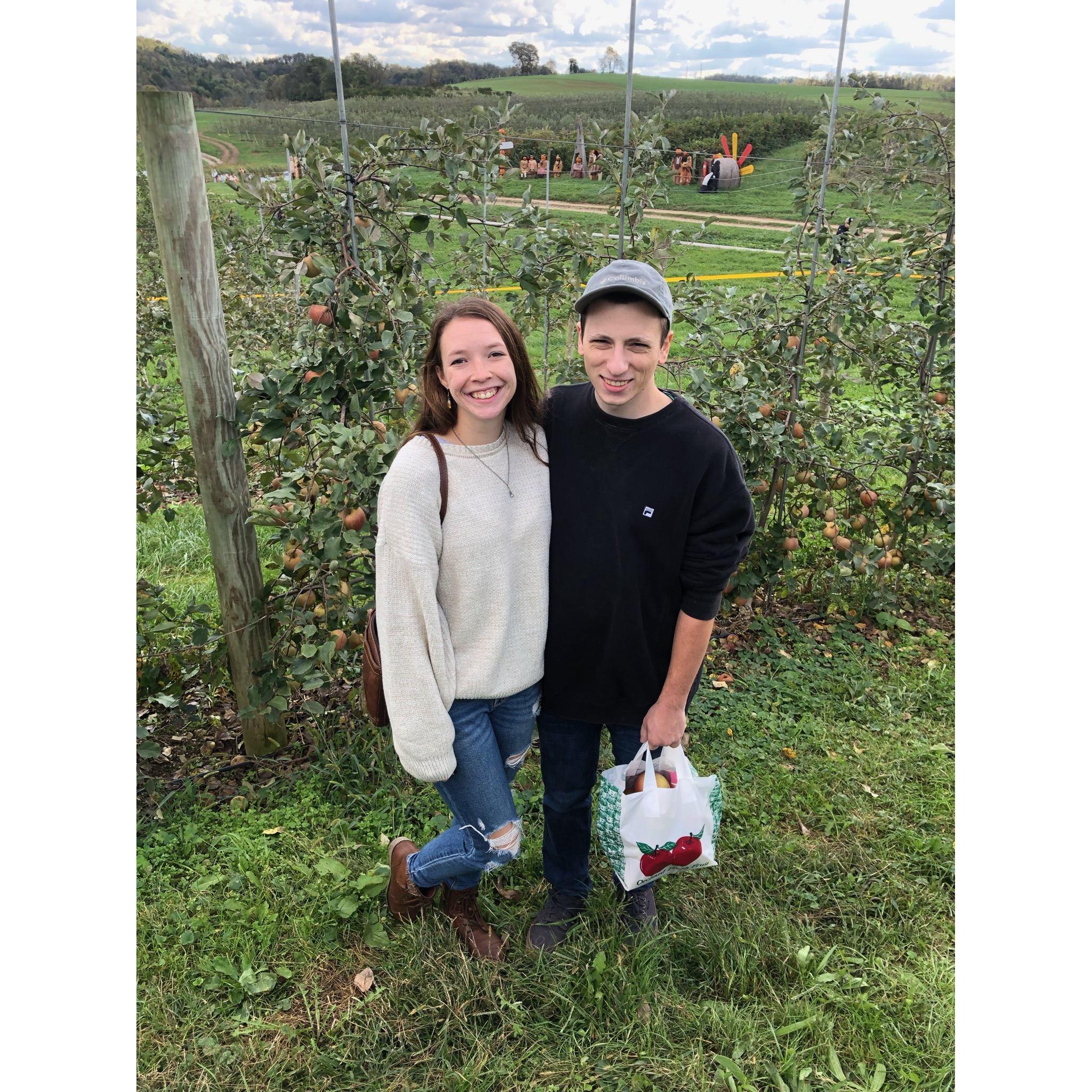 Brianna Higby and Nick Diliscia's Wedding Website