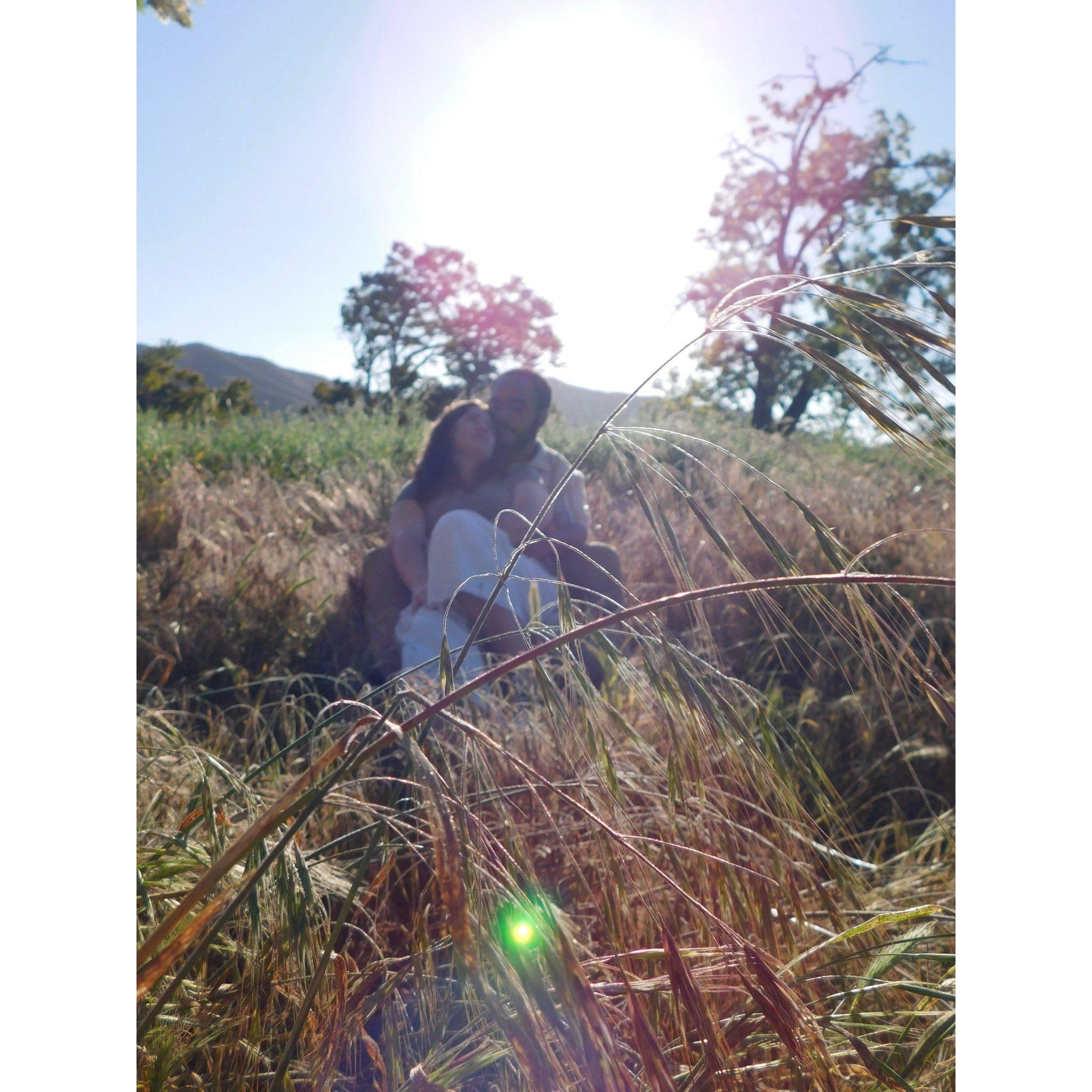 Cashel Gubernick and Jayce Reed's Wedding Website