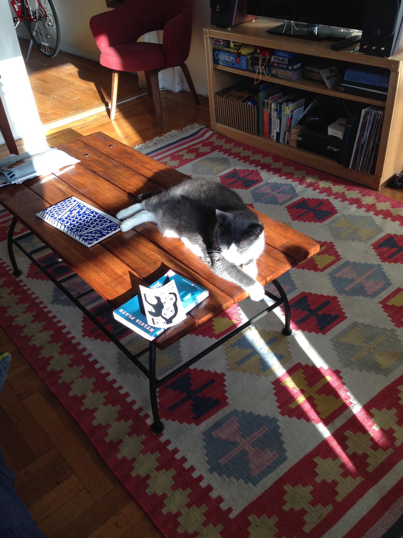 Rachel Broderick and Caitlin McKenna's Wedding Website