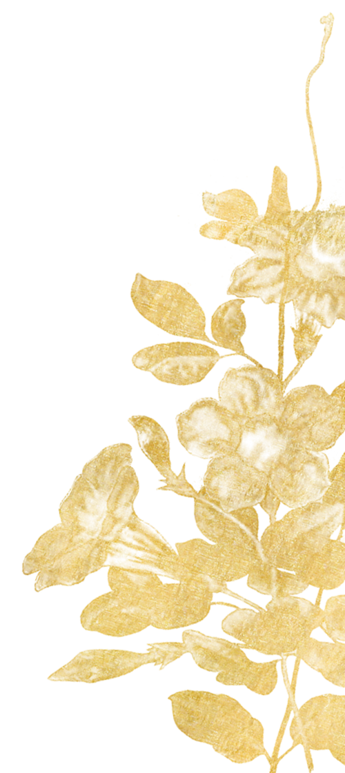 Katie Lou Samuelson and Devin Cannady's Wedding Website