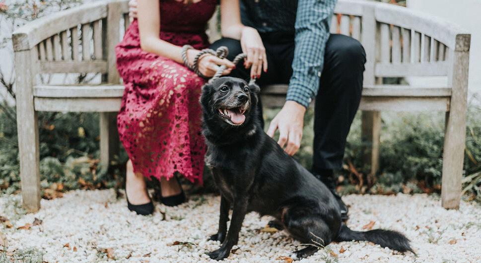 Erica Michelle Meyer and Michael James Sizer's Wedding Website