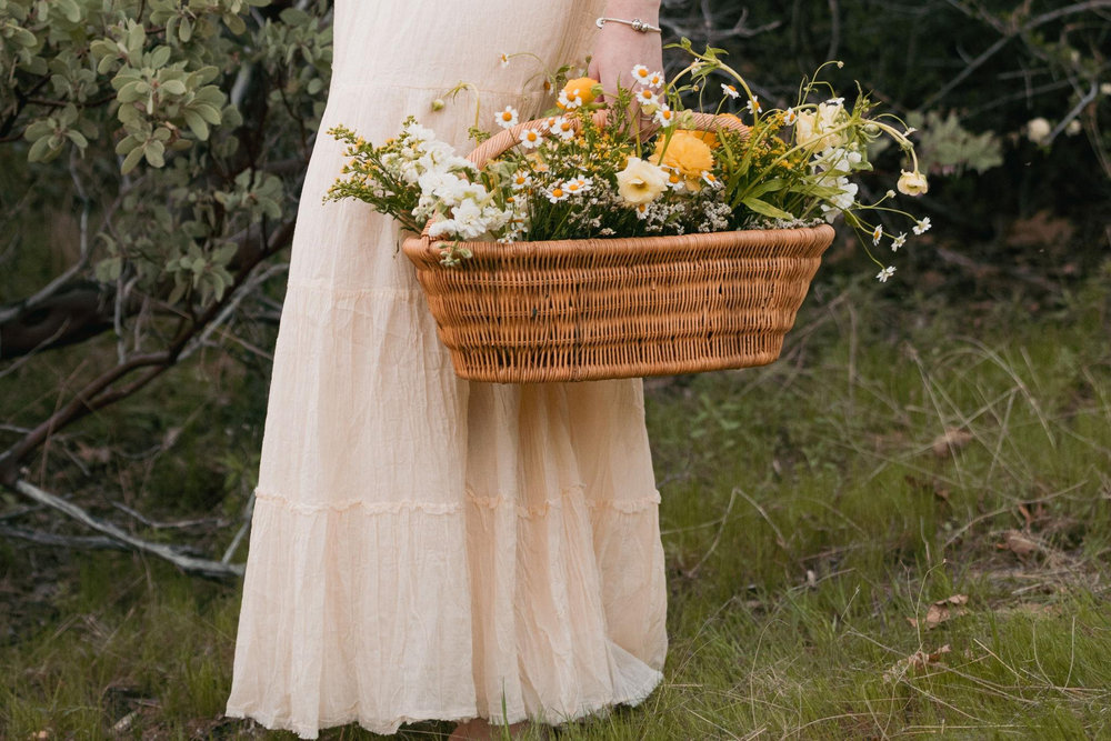 Shylah Metter and Nathan Gallegos' Wedding Website