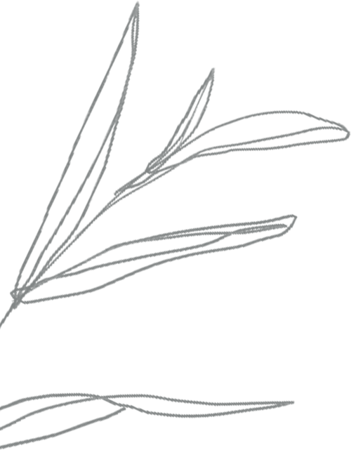 Alyssa Gemmell and Cameron Bouchard's Wedding Website