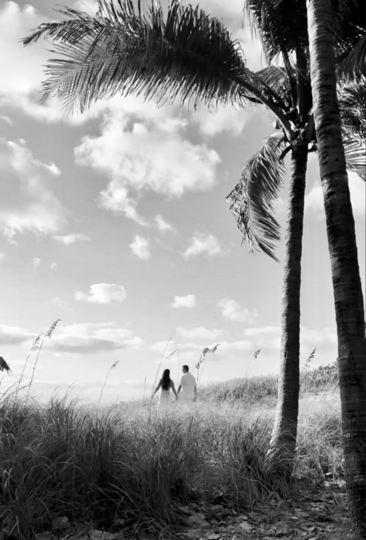 Courtney Macdonald and Dylan Burkhart's Wedding Website