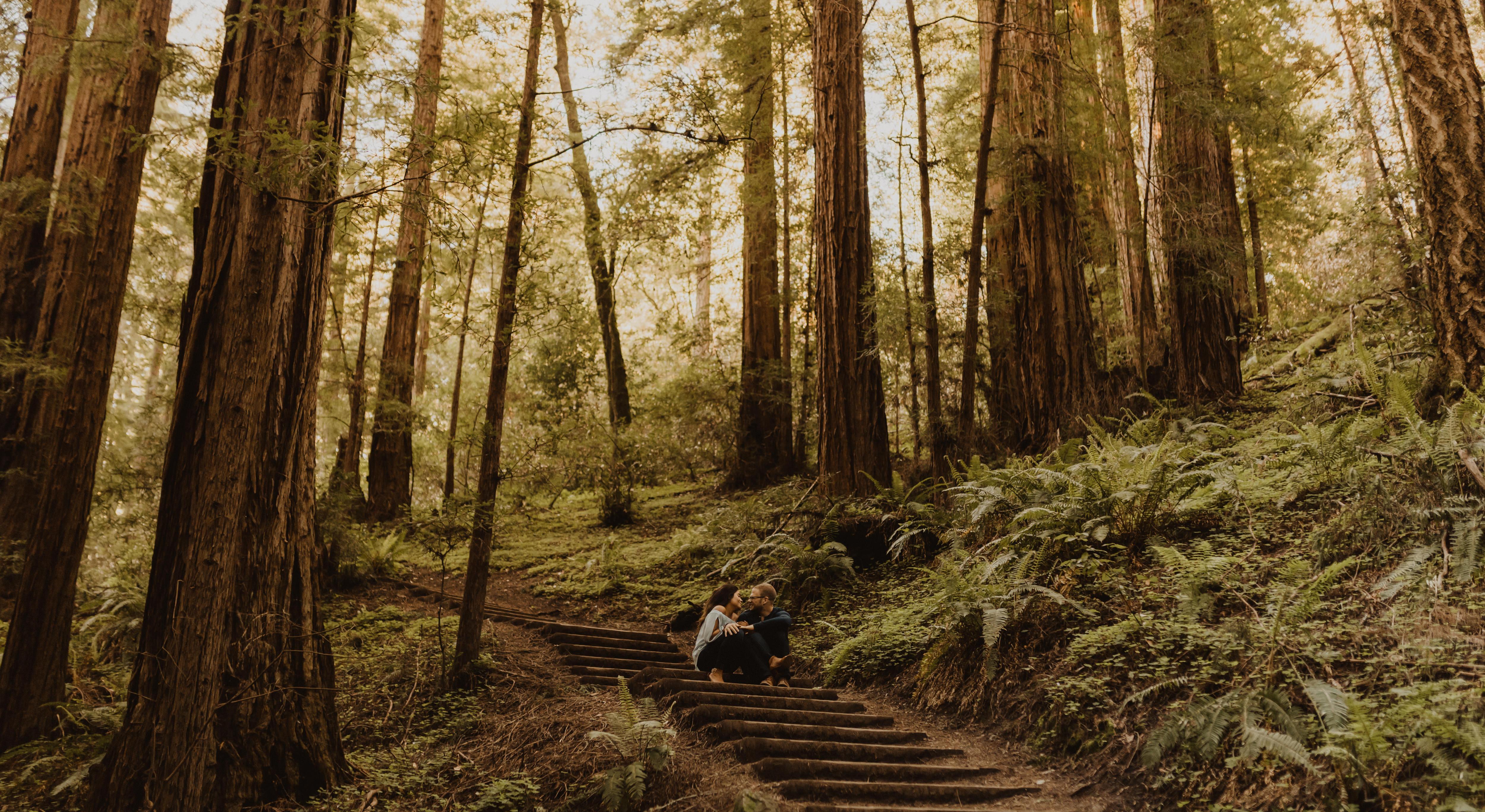 Perla Campos and Kyler Hasson's Wedding Website