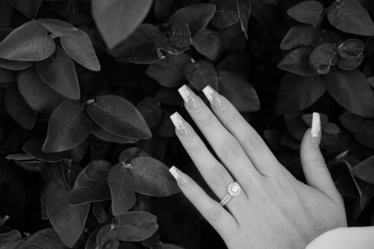 Francesca Beck and Jay Atieh's Wedding Website