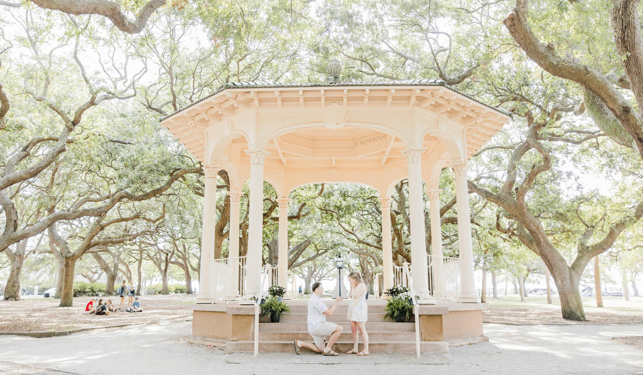 Aine Foley and Nicholas Meyer's Wedding Website