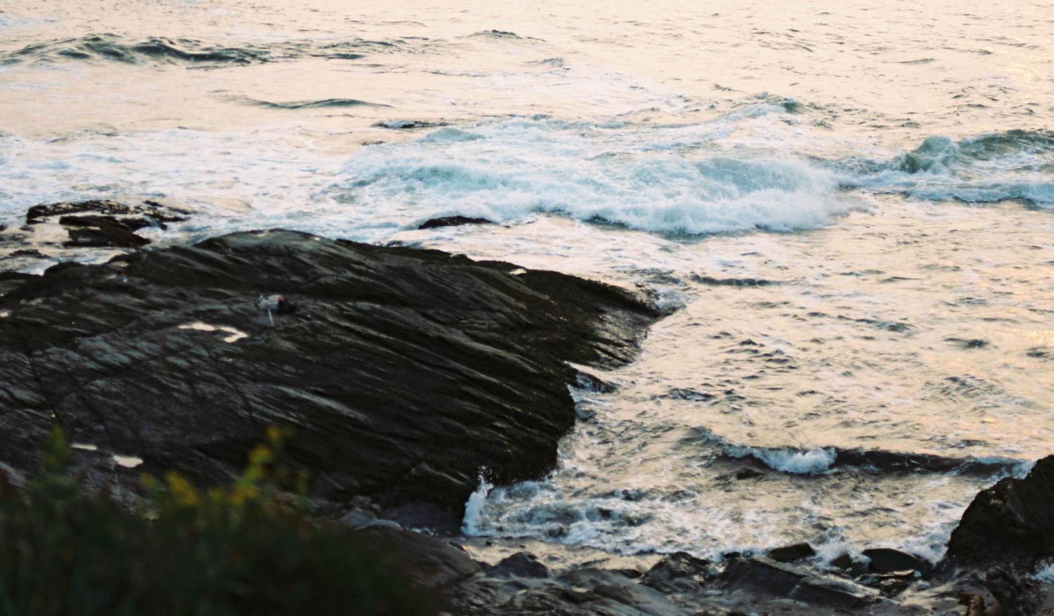 Anna Nussbaum and Alec Schoen's Wedding Website