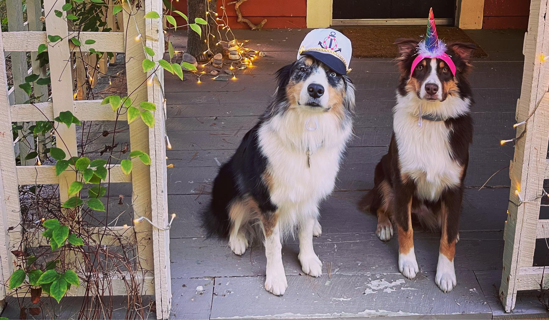 Sarah Daigle and Ryan Gallagher's Wedding Website