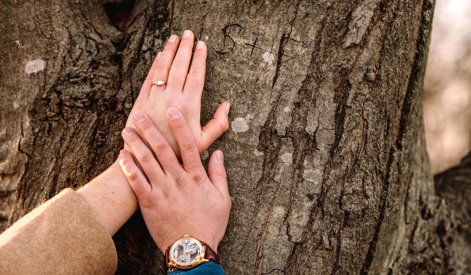 Flannery Sullivan and Sam Whatley's Wedding Website