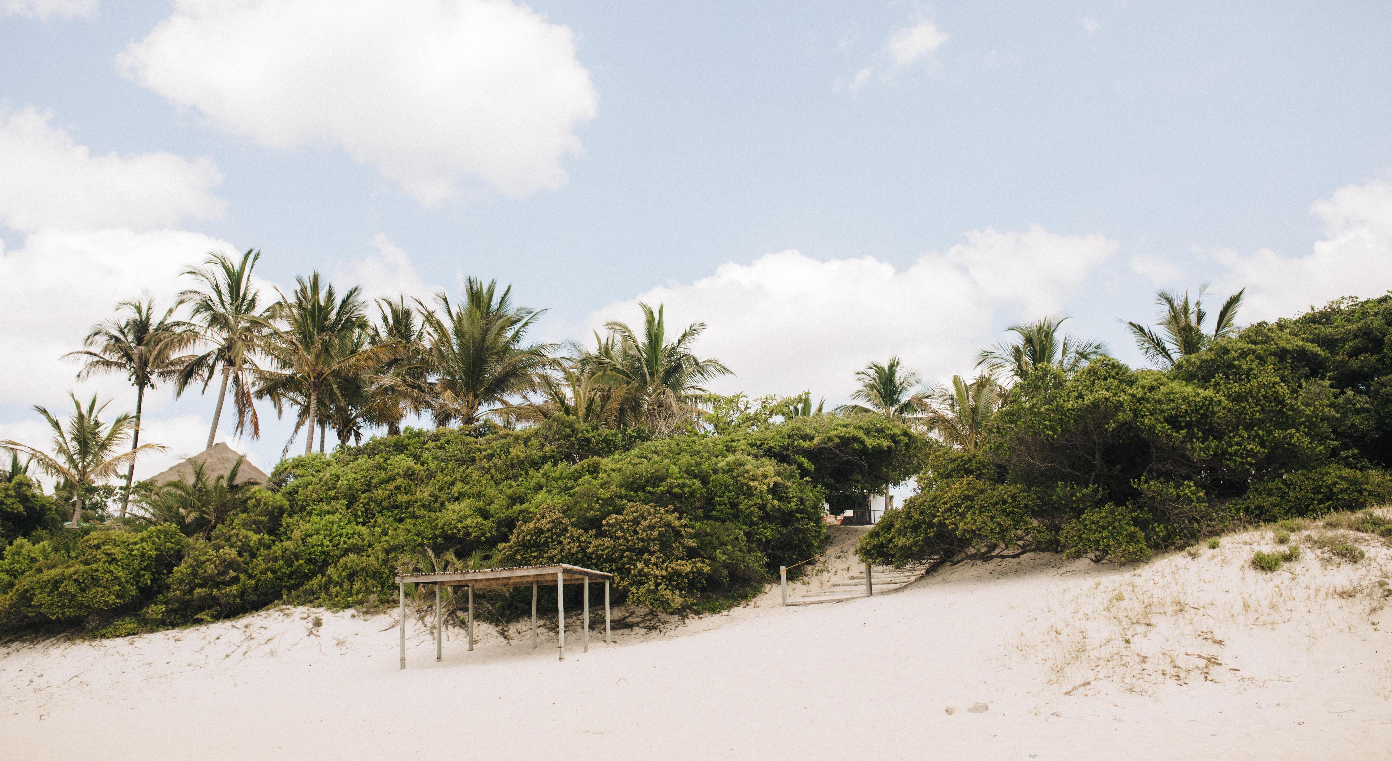 Michigan Behn and Greg Veale's Wedding Website