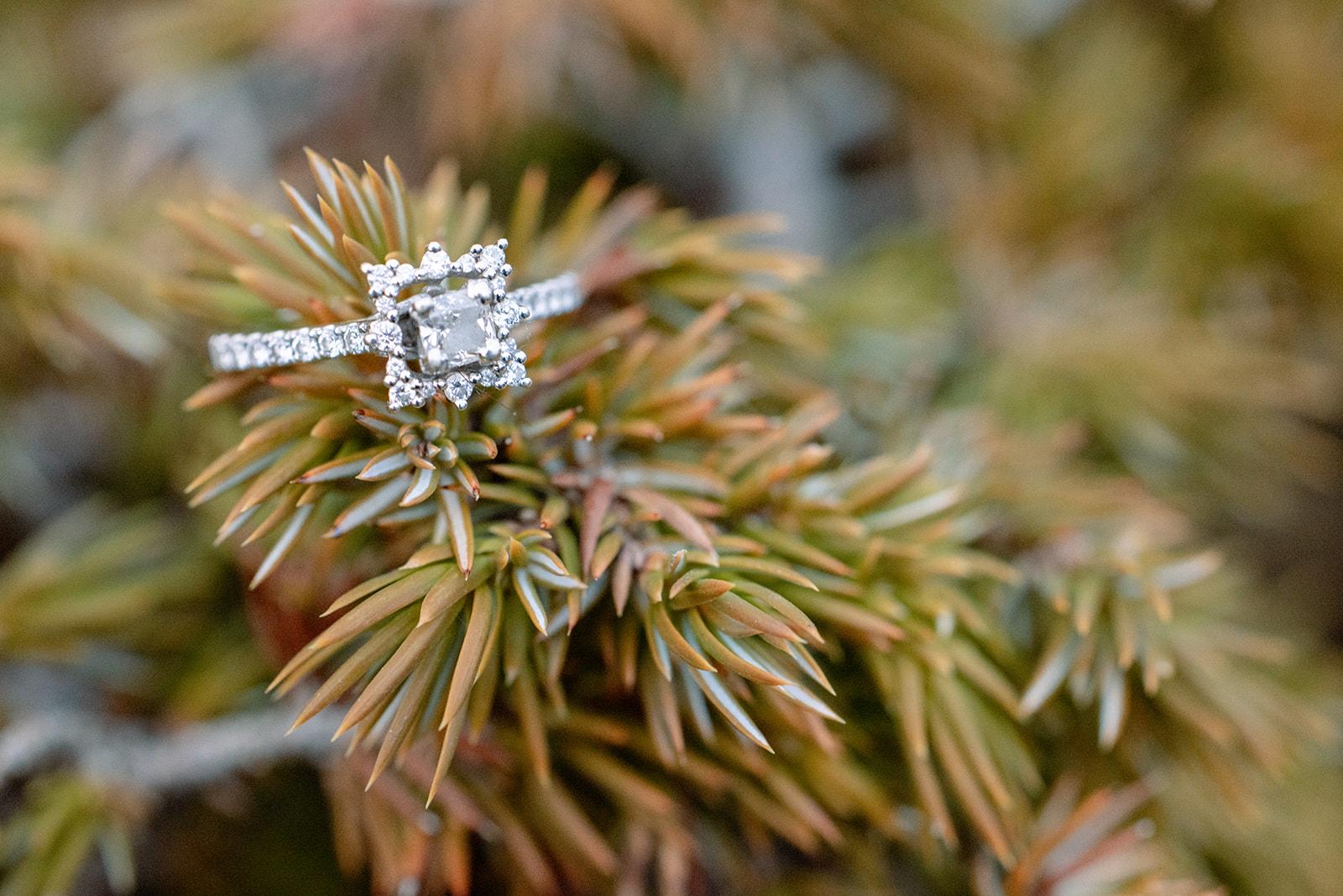 Cayla Phythian and Robert Waltke's Wedding Website