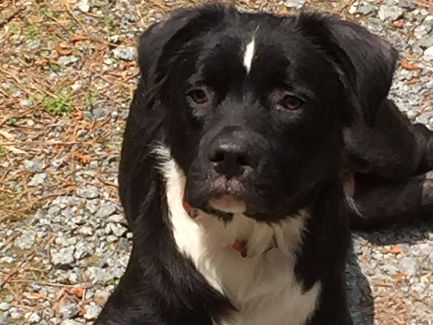 Annie Lomas and Justin Morgan's Wedding Website